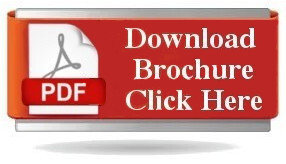 Pollen-Collection-Brochure