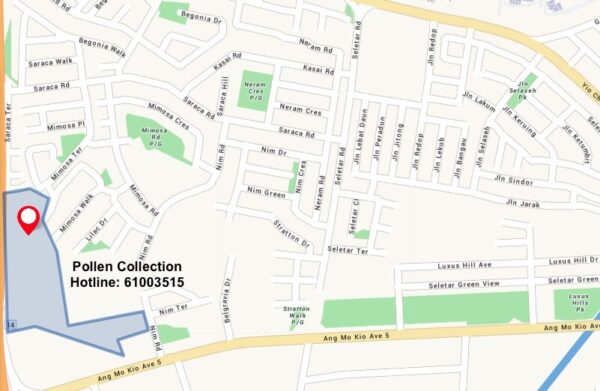 Pollen-Collection-Location